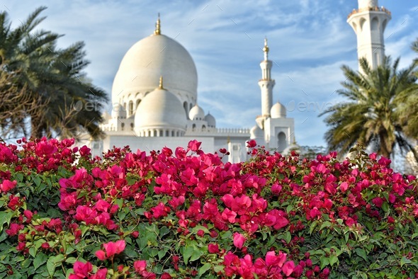 Sheikh Zayed Grand Mosque and garden Stock Photo by spencerpa440 ...
