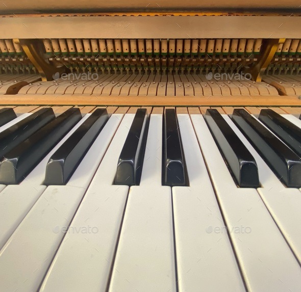 Piano keys while piano is being refurbished with keyboard lid missing ...