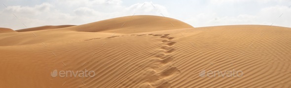 Desert Footsteps Stock Photo by spencerpa440 | PhotoDune