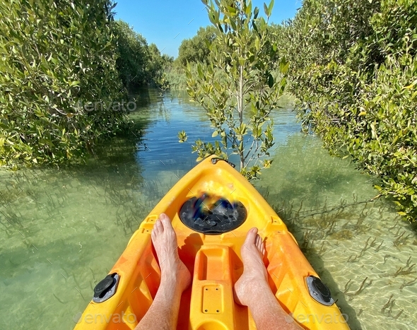 Shallow saltwater at low tide in the mangroves seen from a seaworthy ...