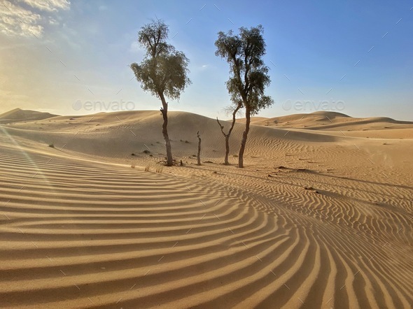 Desert SandScape Landscape with Swirling Wind Blown Sand Two Trees Blue ...