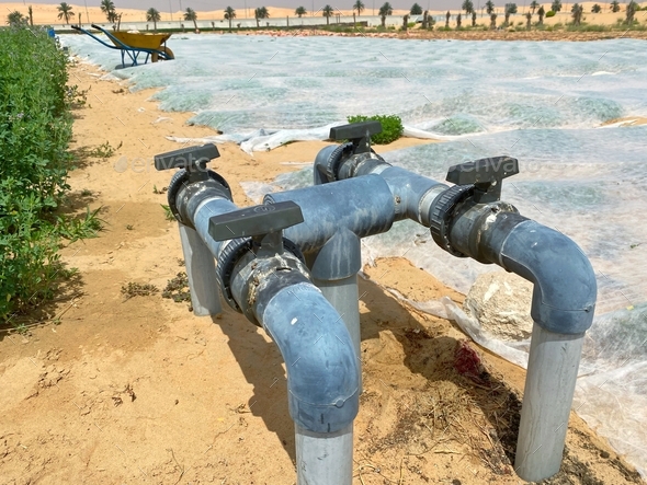 Traditional farming in the desert relies on water to irrigate the crops ...