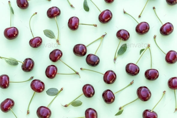 Cherry pattern. Flat lay of cherries and leaves on a soft green ...