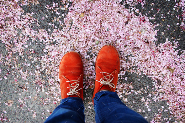 High angle picture of human legs stepping on tree blossom petals fallen ...