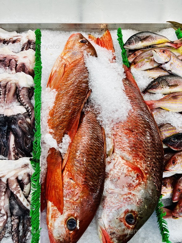 Fresh fish at the fish market. Stock Photo by marisap7 | PhotoDune