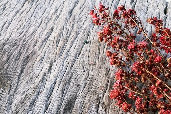 Red dried flower bouquet on wooden texture closeup blur background ...