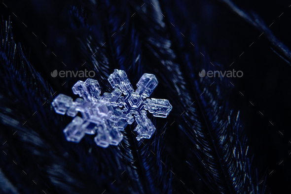 natural snowflakes on snow, photo real snowflakes. Winter snow ...