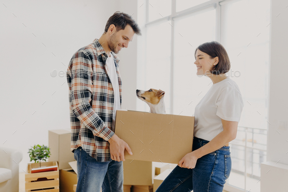 Satisfied lovely family couple carry carton box with their domestic pet ...