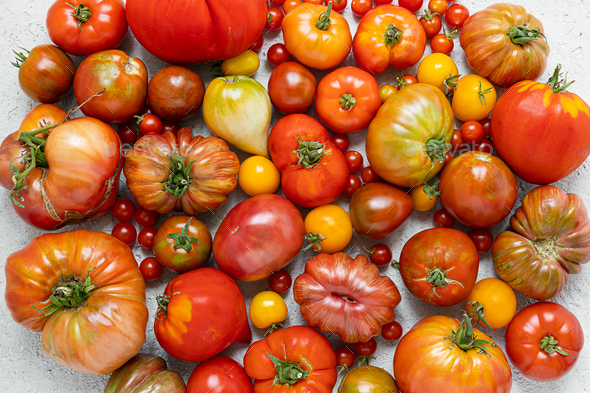 Organic untreated tomatoes Stock Photo by tsableaux | PhotoDune