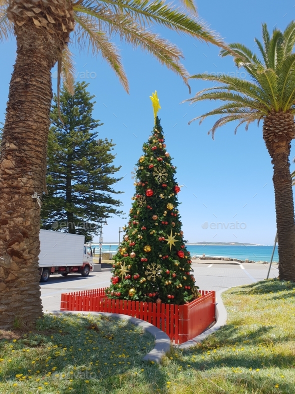 Large outdoor Christmas tree display on beach Stock Photo by Angela_Sikiric