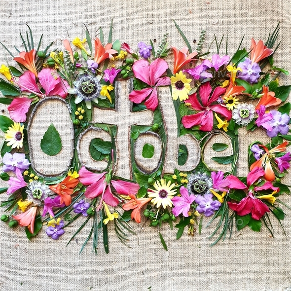 creative text made with colourful flowers and plants,October Stock ...