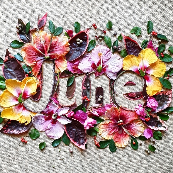 June,calendar month words made with flowers Stock Photo by Angela_Sikiric
