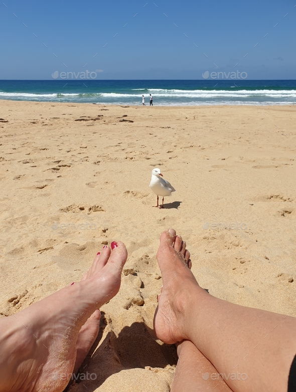 two people with legs crossed at ankles next to seagull at the beach ...