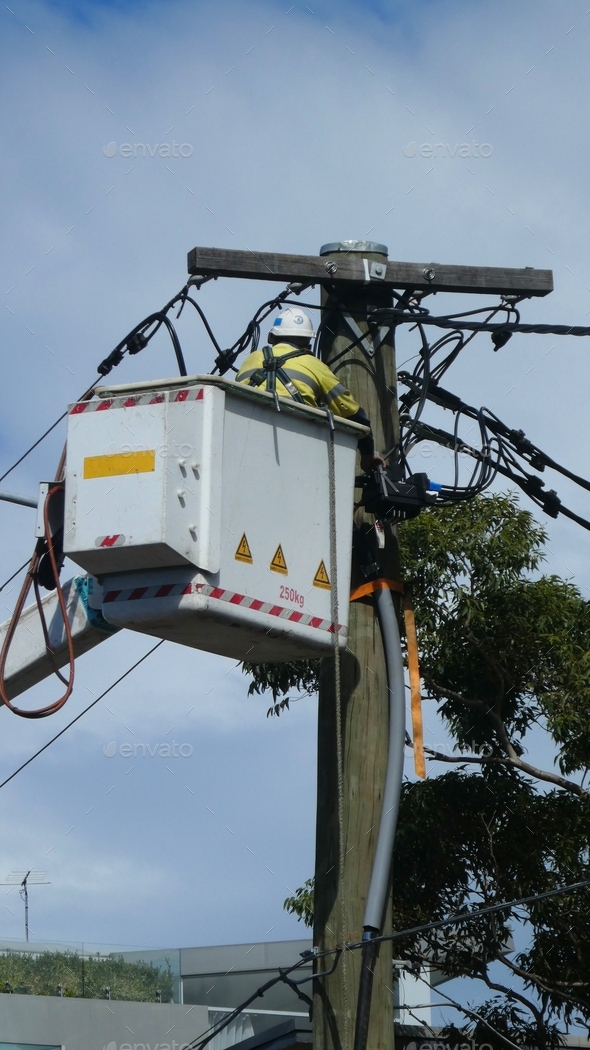rear view of man wearing safety harness in cherry picker working on ...