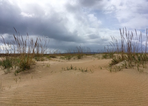 Sandy beach scene Stock Photo by bclare2 | PhotoDune