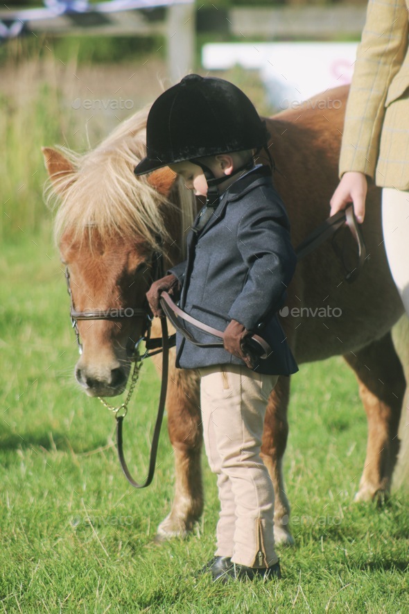 Young boy at his first horse show with his Shetland pony Stock Photo by ...