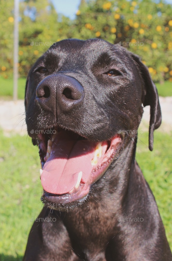 Go on, put a smile on your face Stock Photo by bclare2 | PhotoDune