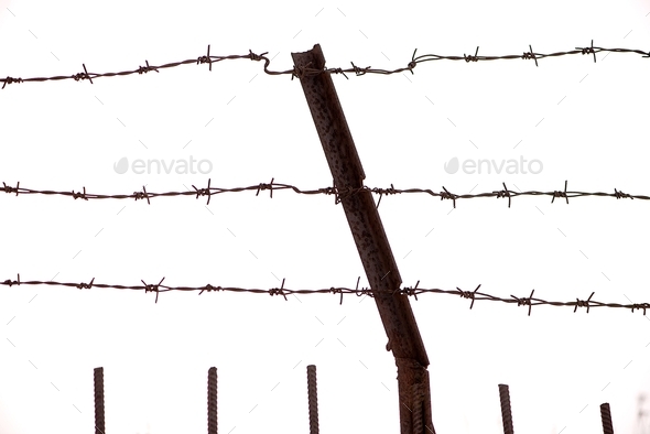 Barbed Wire. Stock Photo by zelmab | PhotoDune