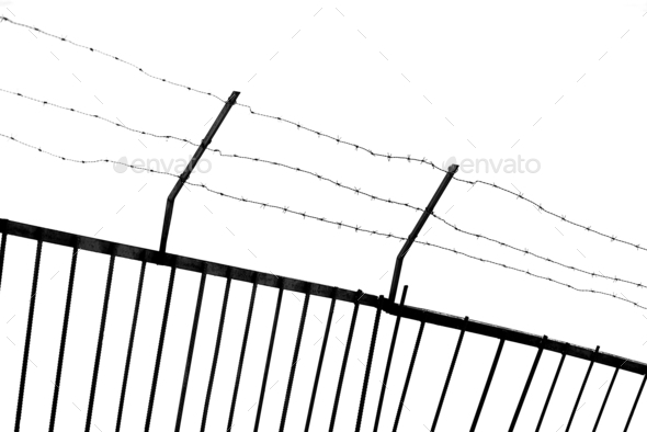 Barbed Wire. Stock Photo by zelmab | PhotoDune