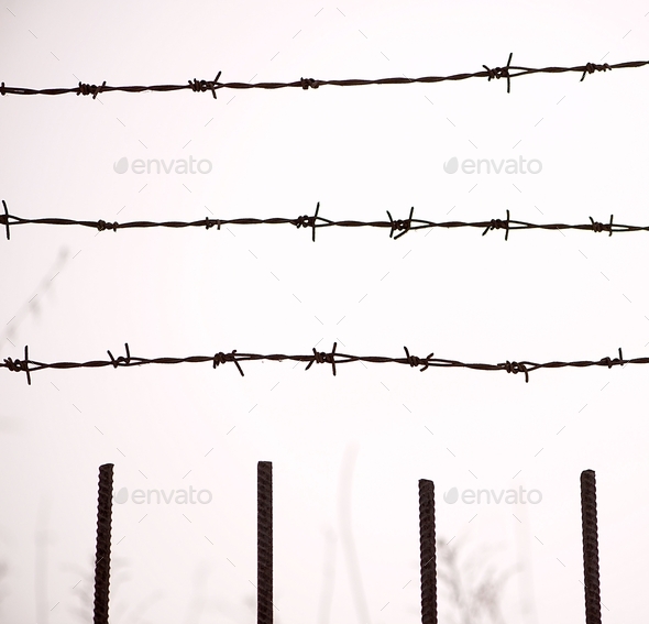 Barbed Wire Stock Photo by zelmab | PhotoDune