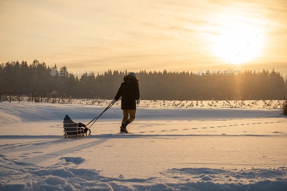 Father is pulling child on sled walking on frosty winter day outdoors ...