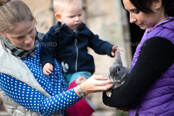 Real family people holding gray rabbit and have a nice time outdoors ...