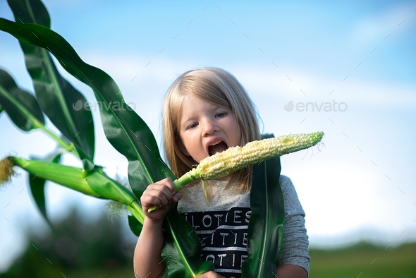little girl child kid eats corn ,holding green fresh leaves Stock Photo ...