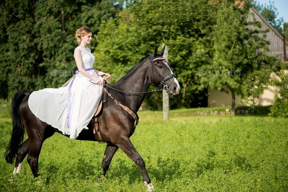 Beautiful and stunning bride, riding a horse in the nature, on her ...