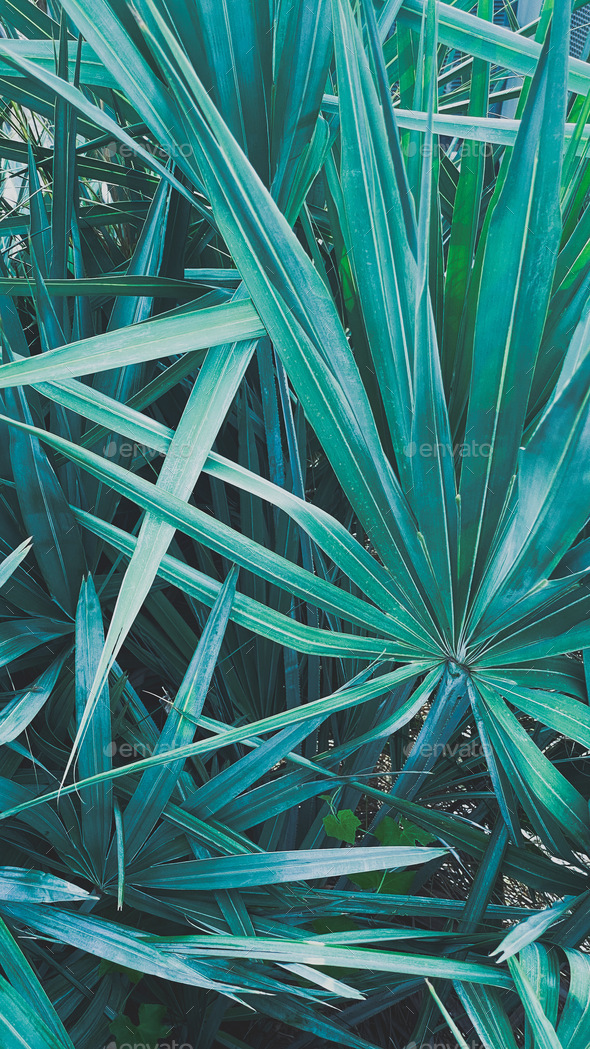 Lush greenery Stock Photo by Mrskiac | PhotoDune