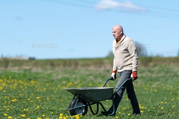 Side view of middle -aged male farmer or active senior man pushing ...