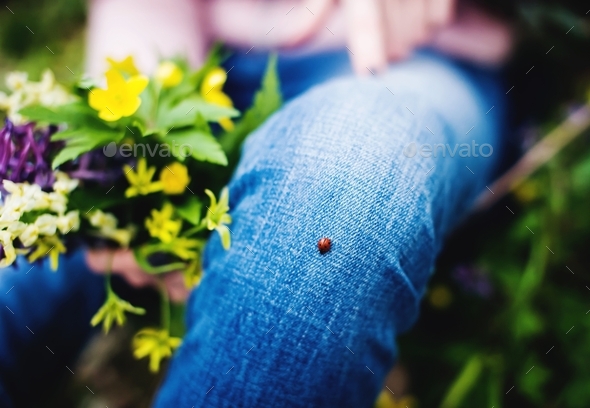 Ladybug on the leg of a girl in the summer in nature. Close-up Stock ...