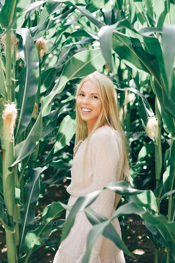 Light and airy summer portrait of blonde woman standing in cornfield ...