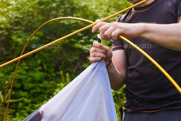 tourist put up tent in camping in forest. Close up man's hands hold ...