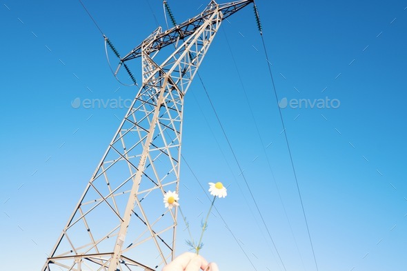 Flowers in front of an electricity pylon Stock Photo by ibenkonig ...