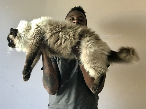 Me and my massive Ragdoll cat the super fluffy kitten Stock Photo by ...
