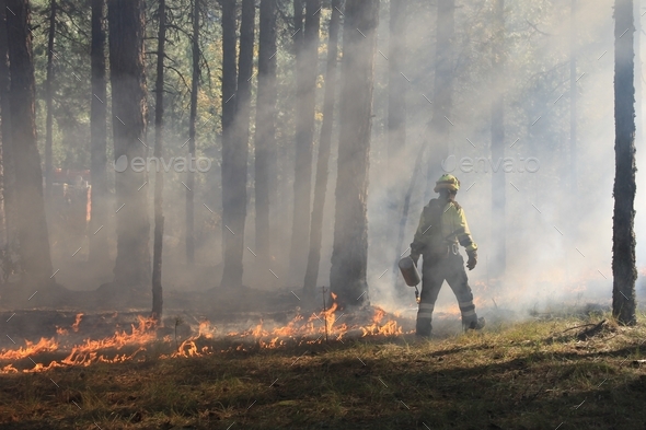 Firefighter doing a counterfire. Cuenca. Spain. Stock Photo by cordogaita