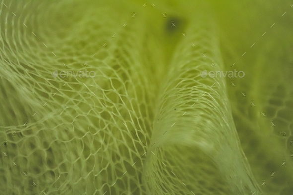 Yellow net.... Stock Photo by XandriethXs | PhotoDune