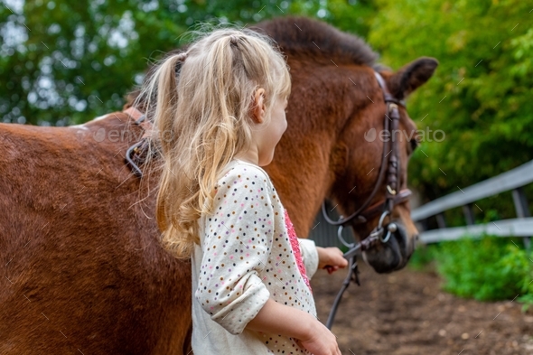 Little girl leads for the reins a pony horse. Rear view, people from ...