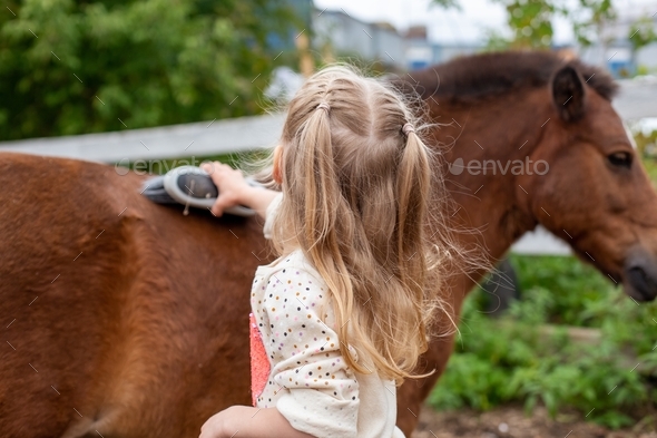 Adorable Girl care about her horse clean horseback with brush in corral ...