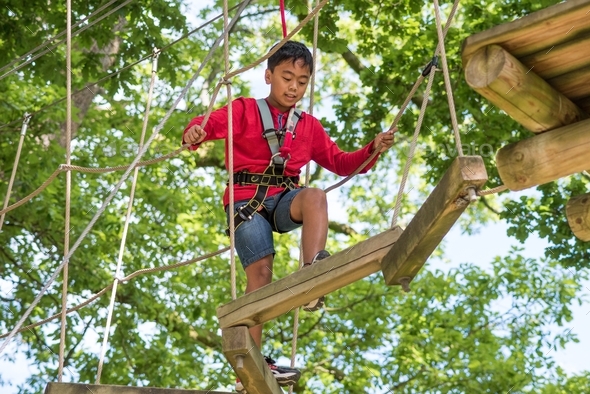Asian boy wearing a harness on a platform up in the trees on an ...