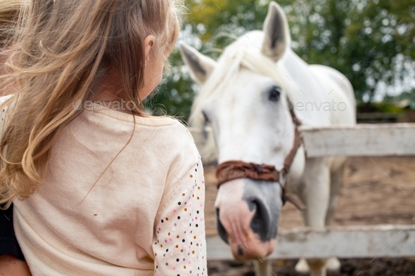 Little a shore looking at horse in corral. People from behind trendy ...
