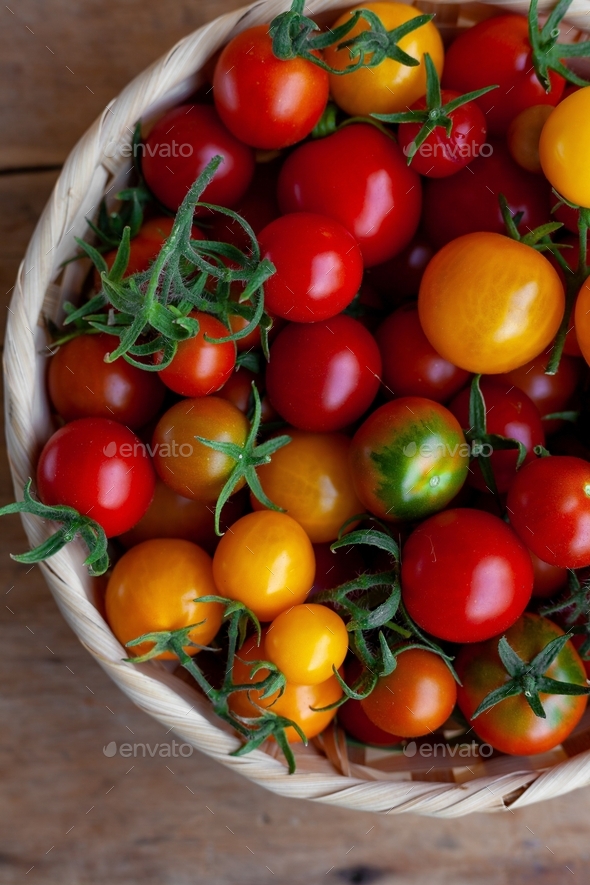 Red and yellow tomatoes of different varieties. Vegetables background ...