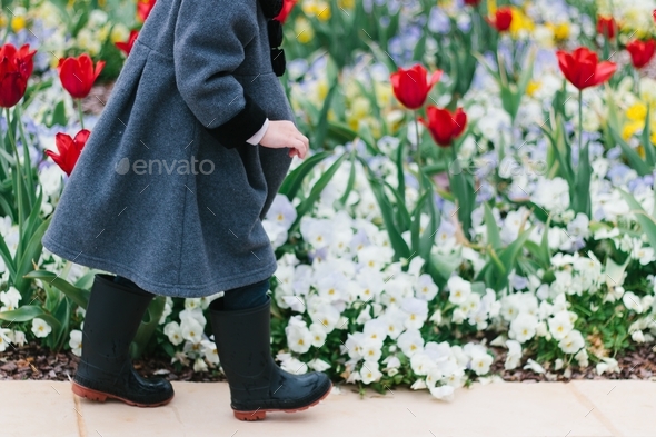 Child walking alongside spring flowers Stock Photo by BrittneyLeighAnn