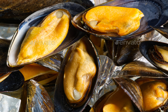 Shellfish dish. Seafood dishes. Mussels in sauce. Stock Photo by VidEst