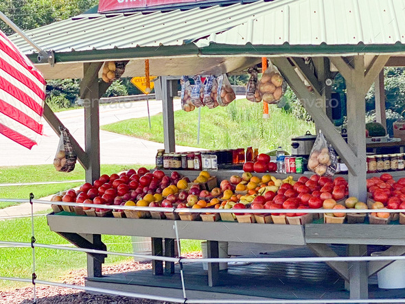 Vegetable and fruit stand; small business. Stock Photo by Surfsupishere