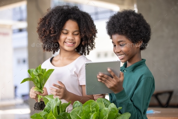 Africa children boy and girl speaking about new lot of salad vegetable ...