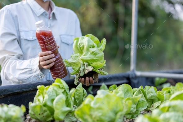 bio-fermented water Stock Photo by thanyapatm | PhotoDune