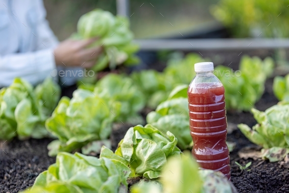 bio-fermented water Stock Photo by thanyapatm | PhotoDune