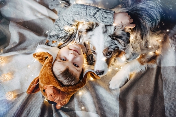 Best friends. The dog and the boy are hugging. Stock Photo by katrinasid
