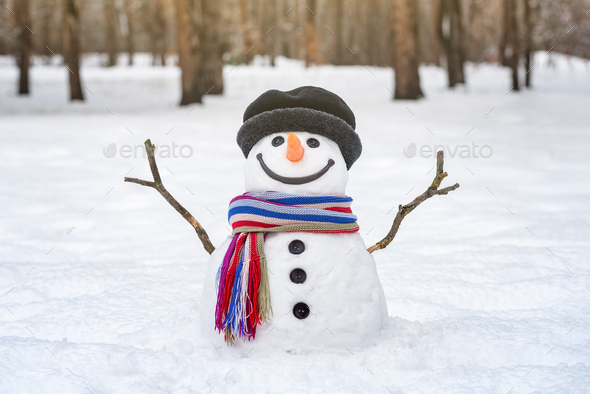 Snowman with arms outstretched from branches Stock Photo by Kotenko